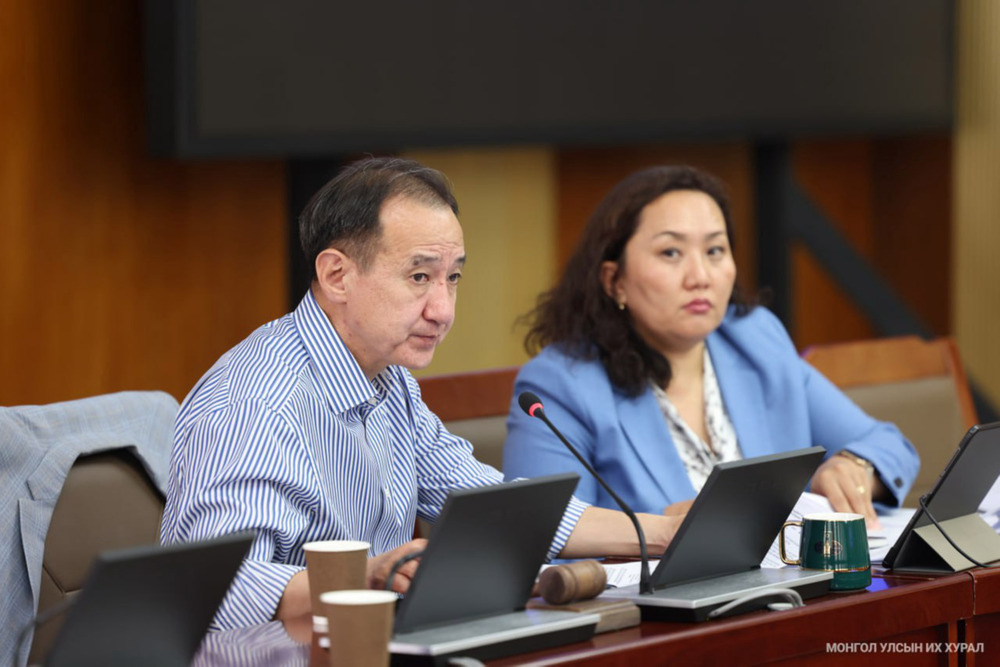 ХЗБХ Эрүүгийн хуульд нэмэлт өөрчлөлт оруулах тухай хуулийн төслийн